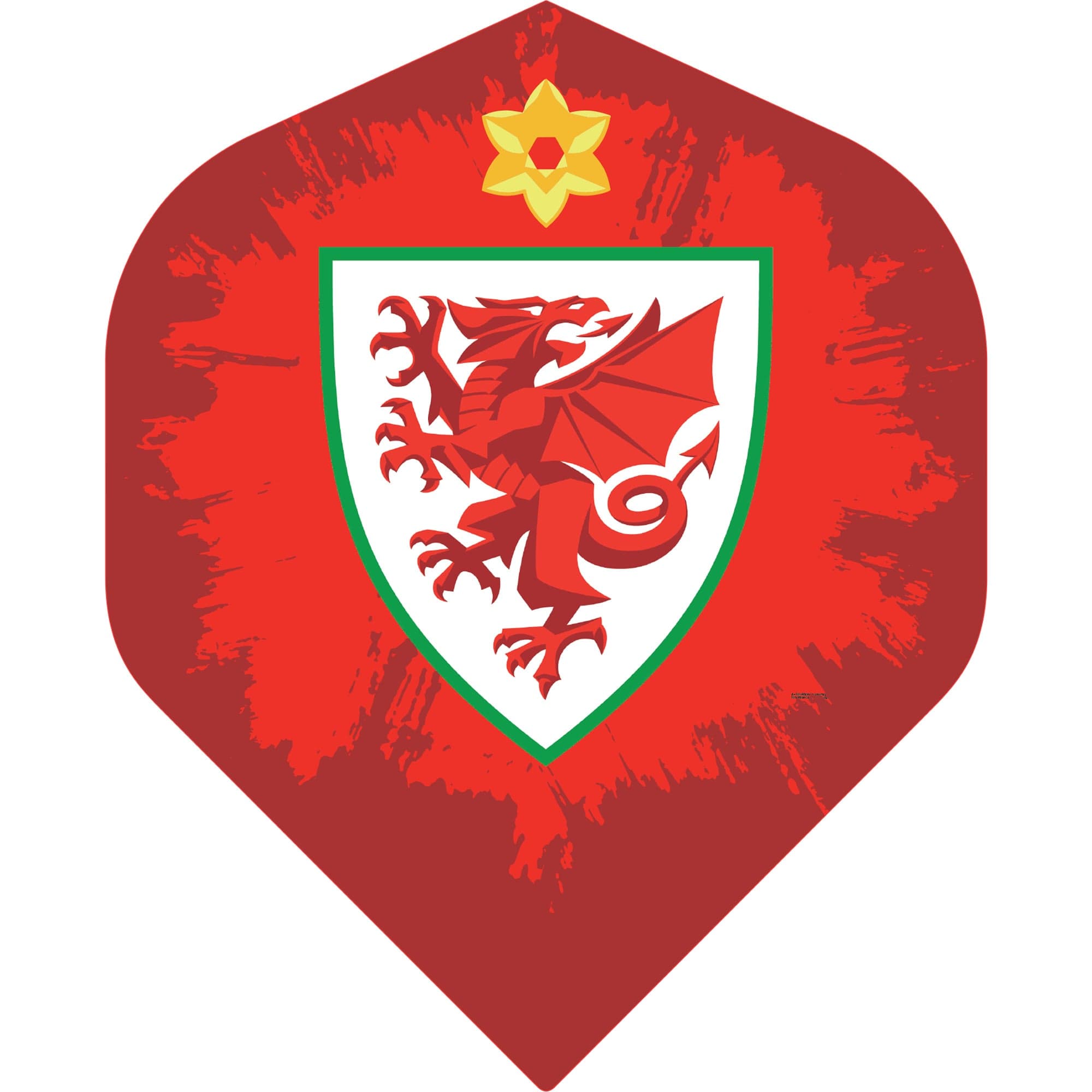 Soccer: Wales
